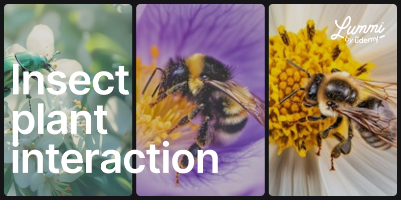 Insect-plant Interaction Images — Free HD Download on Lummi